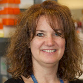 Michele Anderson – Toronto Human Immunology Network